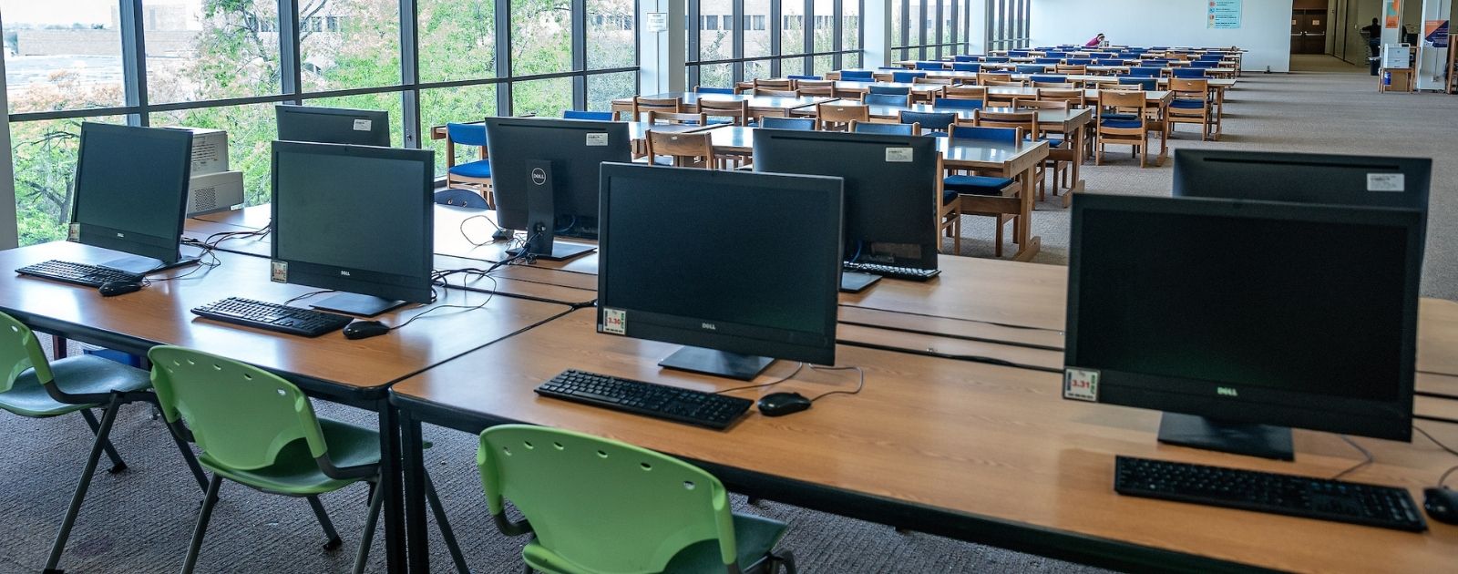 Undergraduate Research | UTRGV