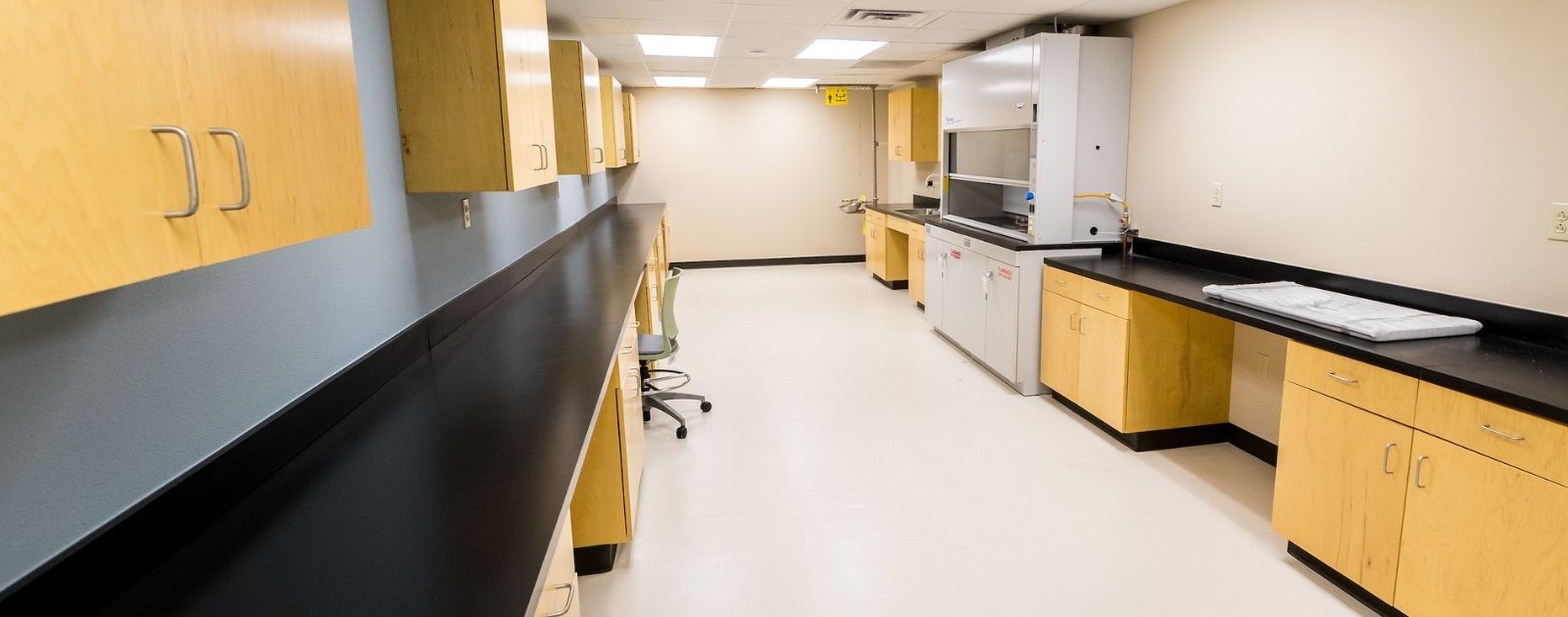 Research Fellows Program | UTRGV