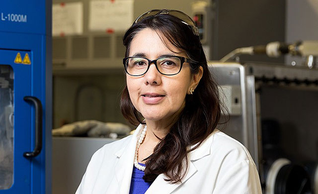 The Newsroom - Lozano earns distinguished National Academy of Inventors ...