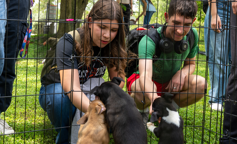The Newsroom - UTRGV Earth Fest 2025 celebrates with annual ‘green ...